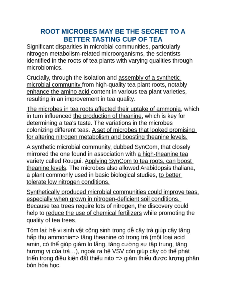 Root Microbes May Be The Secret To A Better Tasting Cup of Tea | PDF