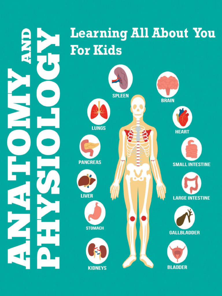 Dokumen - Pub Anatomy and Physiology Learning All About You For Kids | PDF