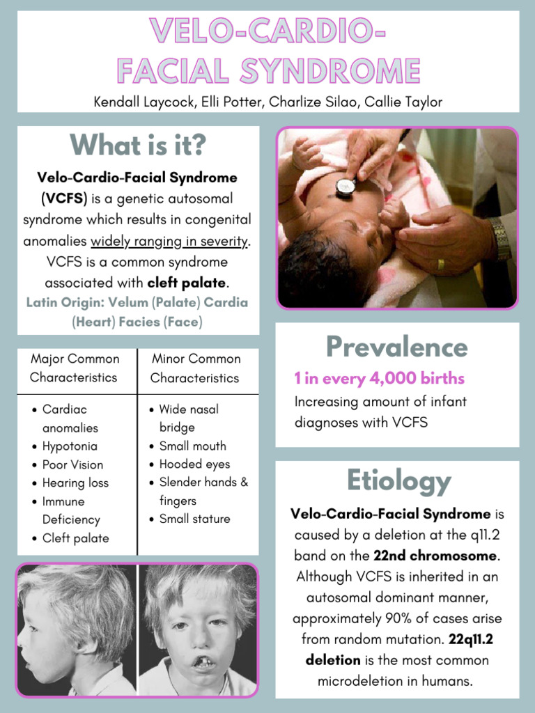 Velo-Cardio Facial Syndrome | PDF | Genetics | Human Diseases And Disorders