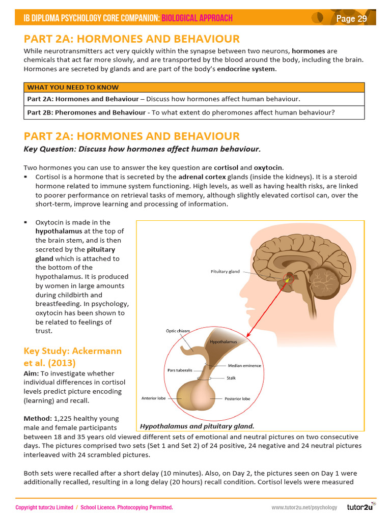Hormones and Behaviour | PDF | Hypothalamus | Cortisol