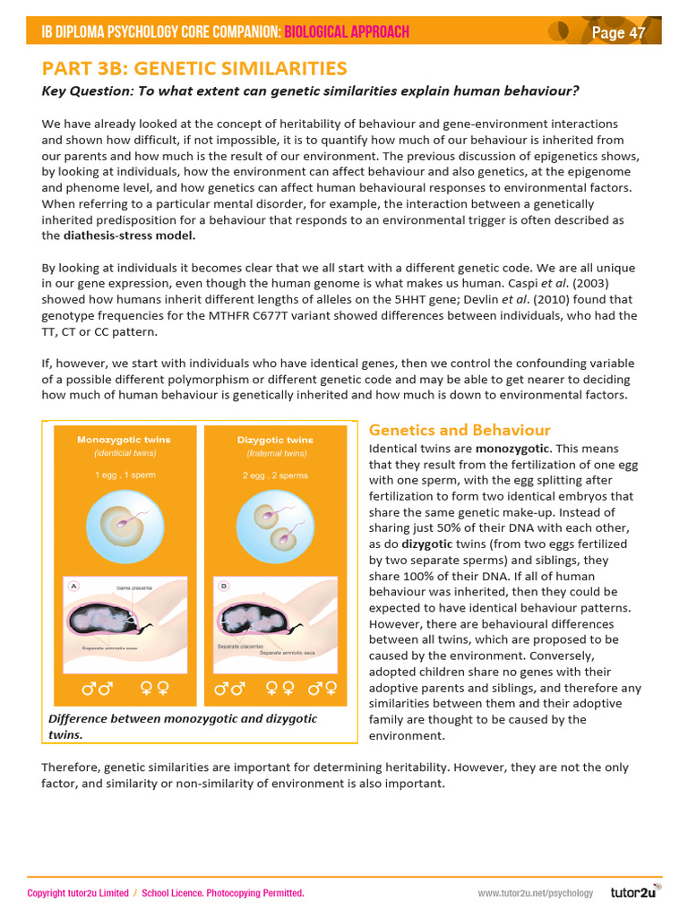 Genetic Similarities | PDF | Twin | Genetics