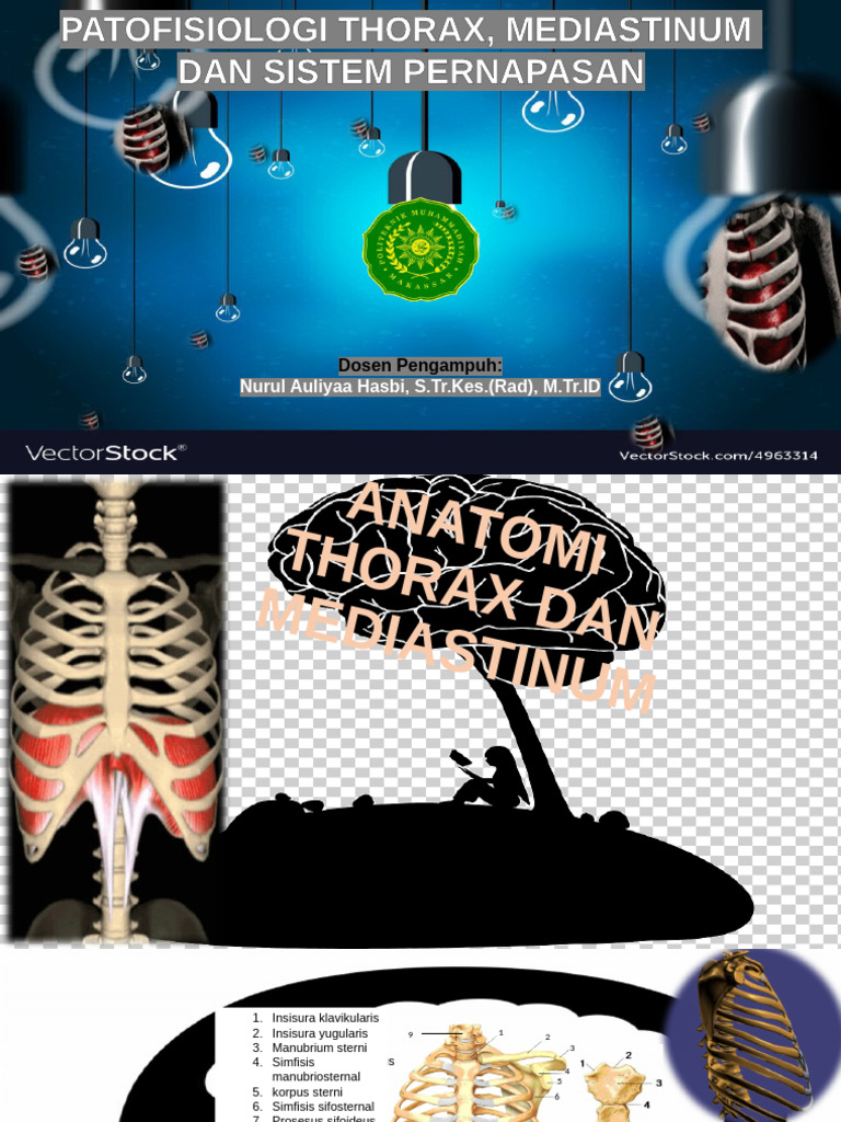 TM 5 & TM 6-PATOFISIOLOGI RANGKA DADA & SISTEM PERNAPASAN (2) | PDF