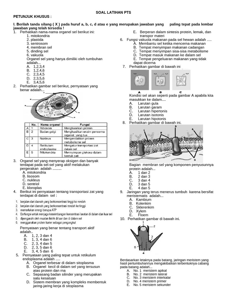 Latihan Soal XI | PDF
