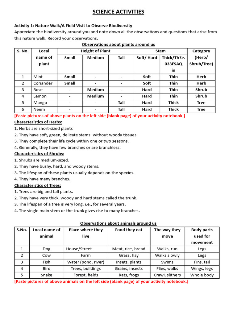 Biodiversity Observation Activities | PDF | Shrub | Plant Stem