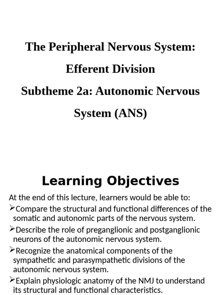 Ns-I - Lgis - 13-02-2024 | PDF | Autonomic Nervous System | Acetylcholine