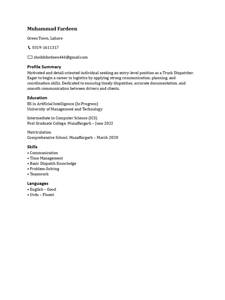 Muhammad Fardeen CV | PDF