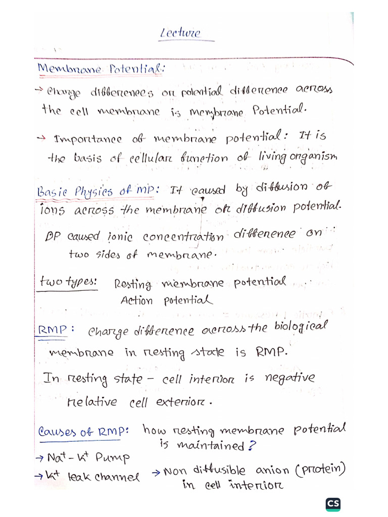 Membrane Potential | PDF
