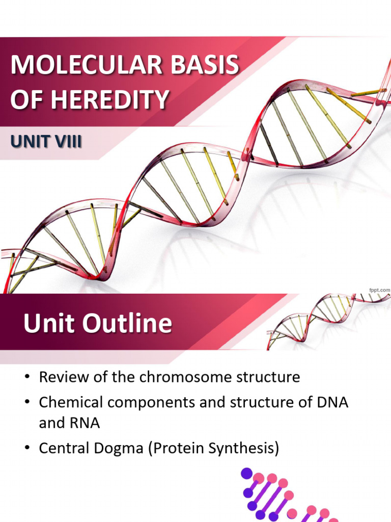 UNIT 8 Molecular Basis of Heredity | PDF | Translation (Biology) | Dna