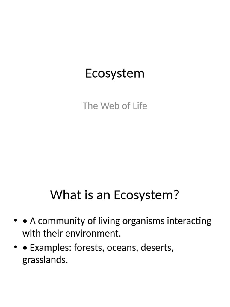 Ecosystem Presentation | PDF