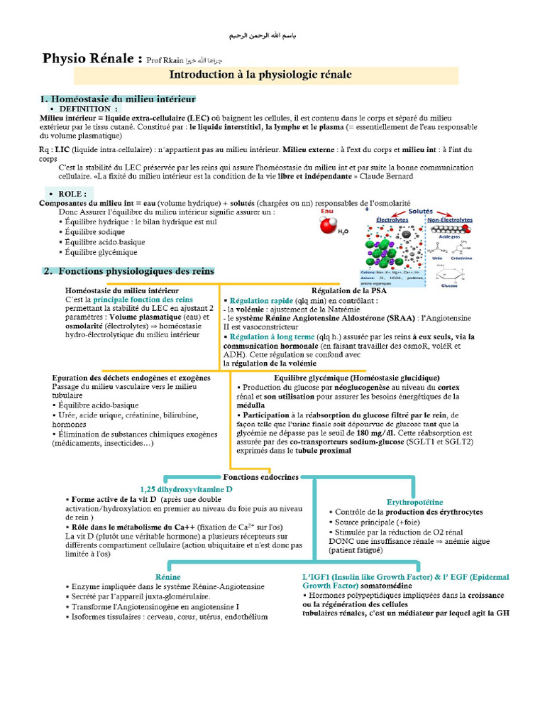 Physio Renale Rayana | PDF