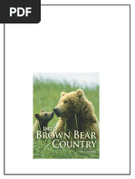 Brown Bear Book | PDF