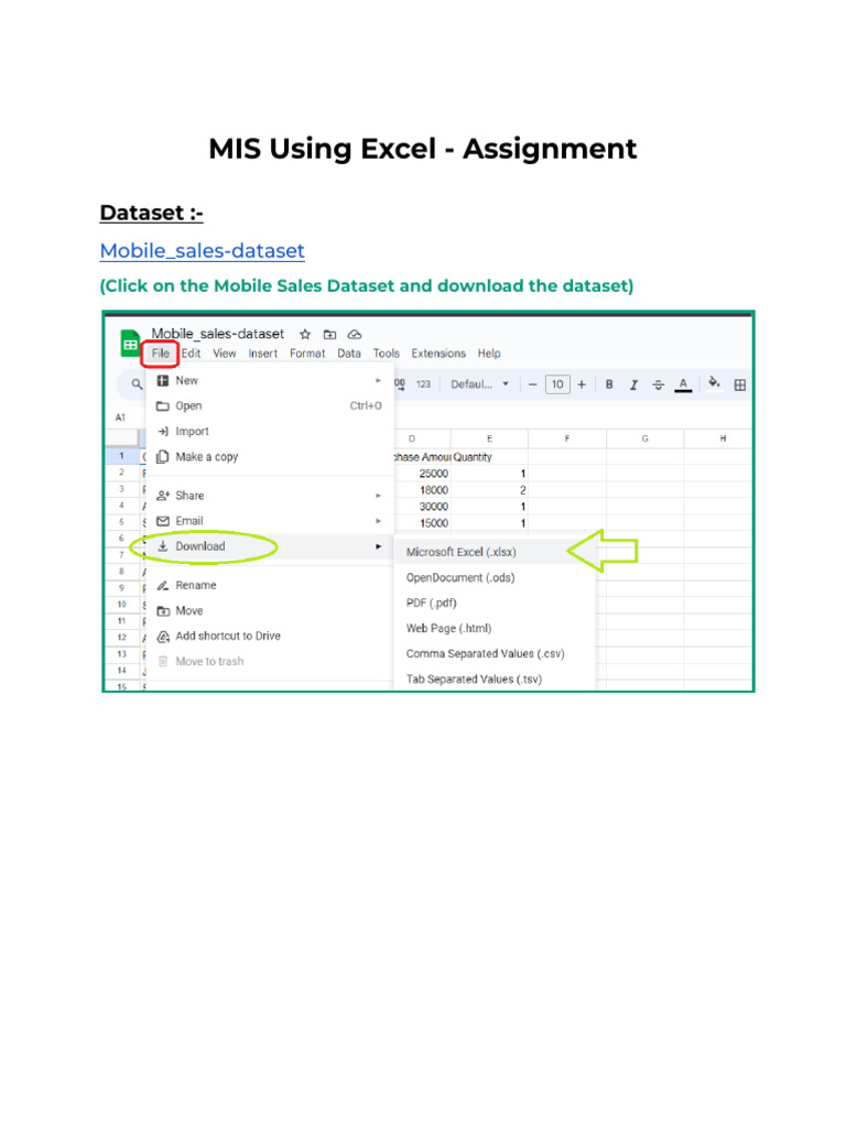 MIS using Excel - Assignment | PDF