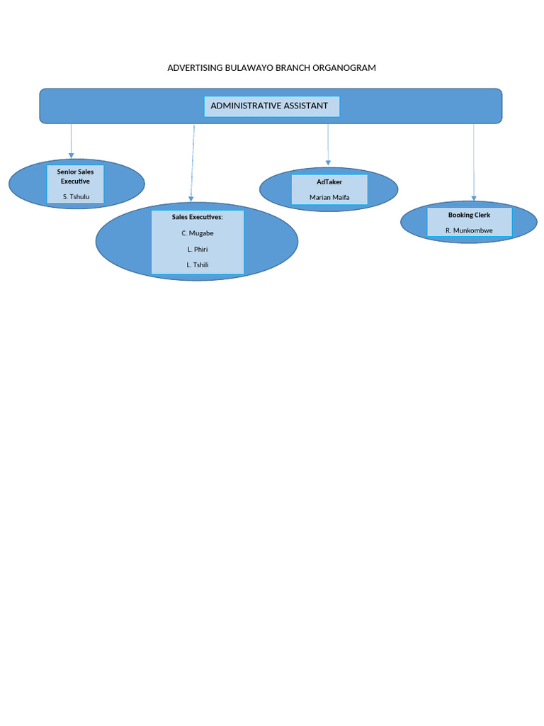 Advertising Bulawayo Branch Organogram | PDF