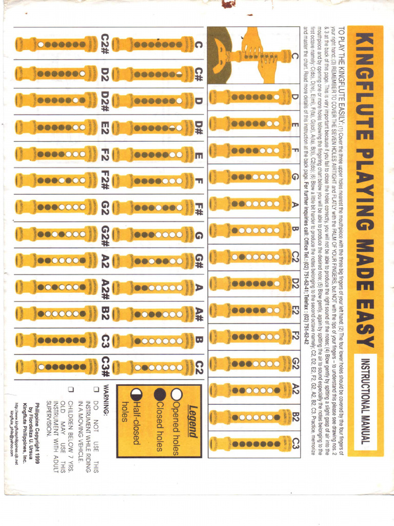 King Flute Playing Made Easy | PDF