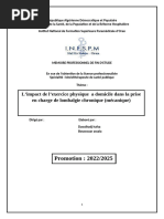 Protocole Stanish pour Tendon d'Achille | PDF