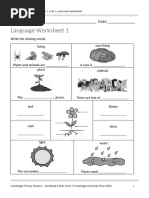 P - Science - 2 - Worksheets - Unit 2 | PDF | Teaching Methods ...