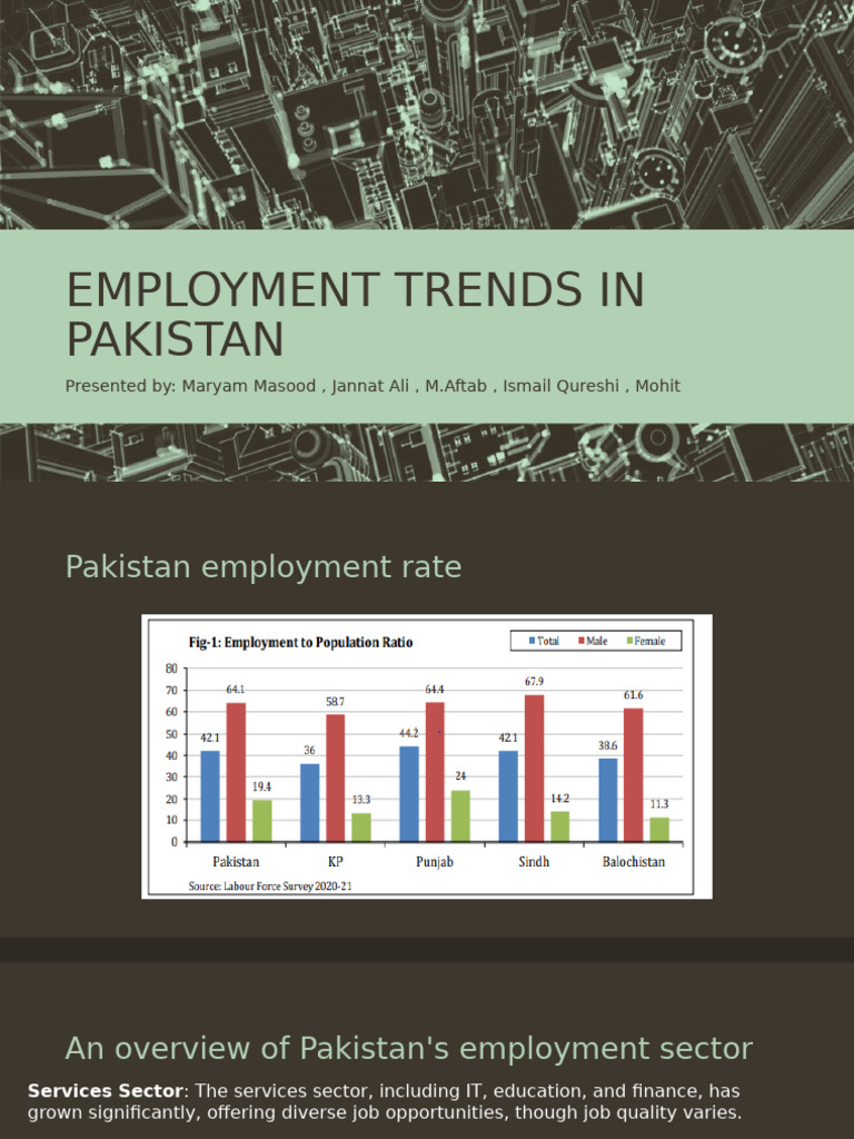 Pakistan Employment Trends Overview | PDF | Employment | Unemployment