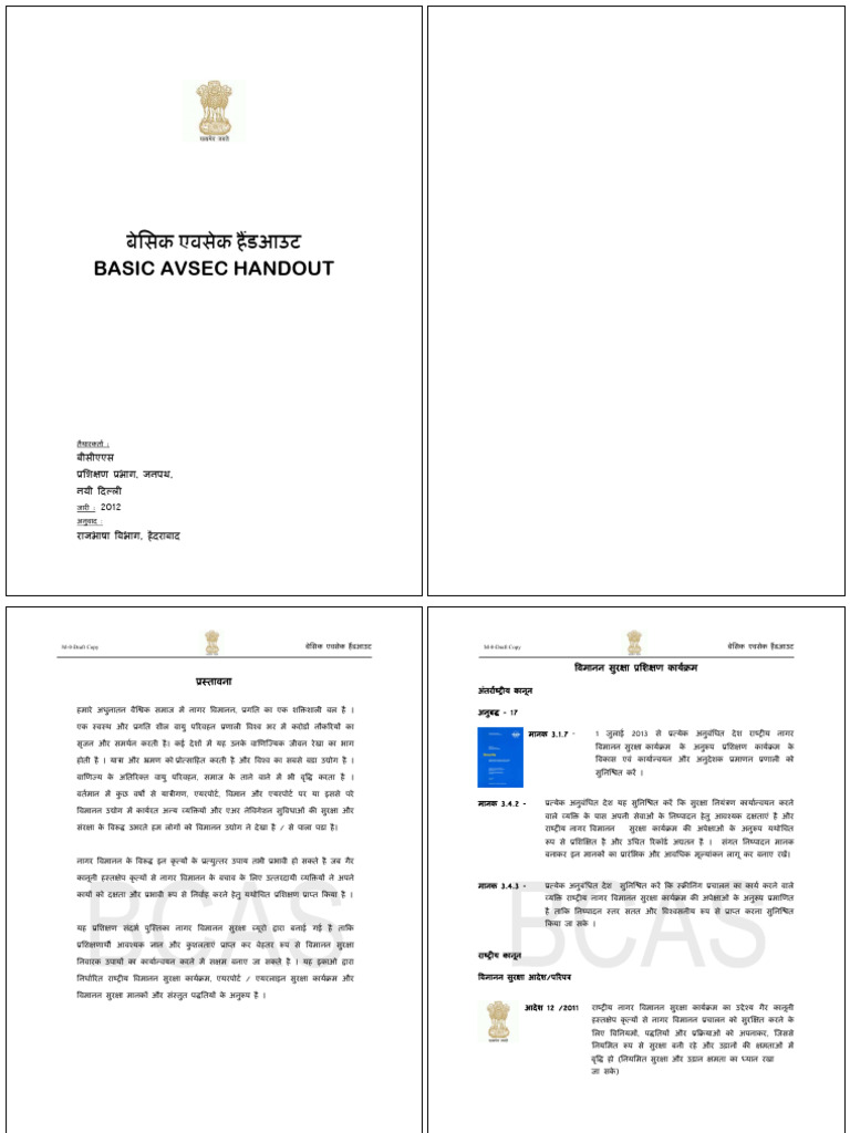 Basic Avsec Handout-Hindi | PDF