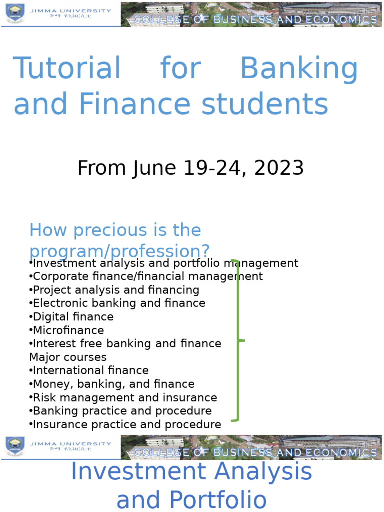 Investment Analysis and Portfolio Management | PDF | Financial Risk | Investing