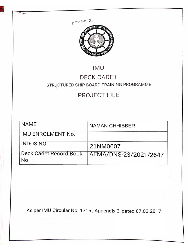 Phase 2 Projects | PDF