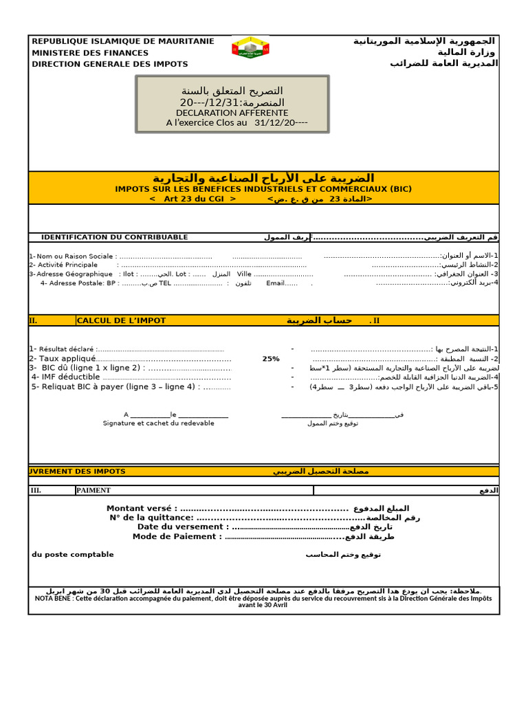Déclarations BIC 2019 | PDF