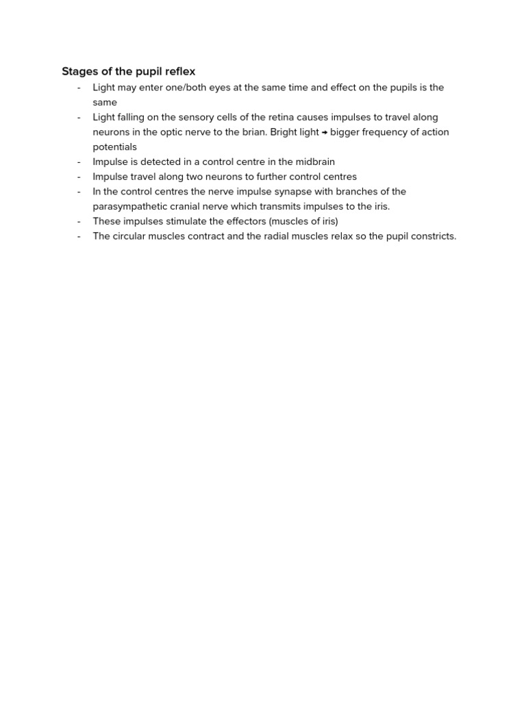 Stages of The Pupil Reflex | PDF