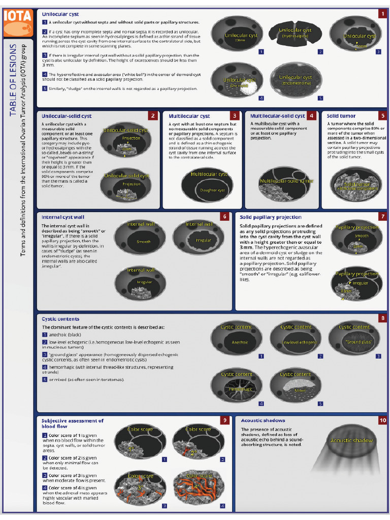 Table of Lesions - PNG | PDF