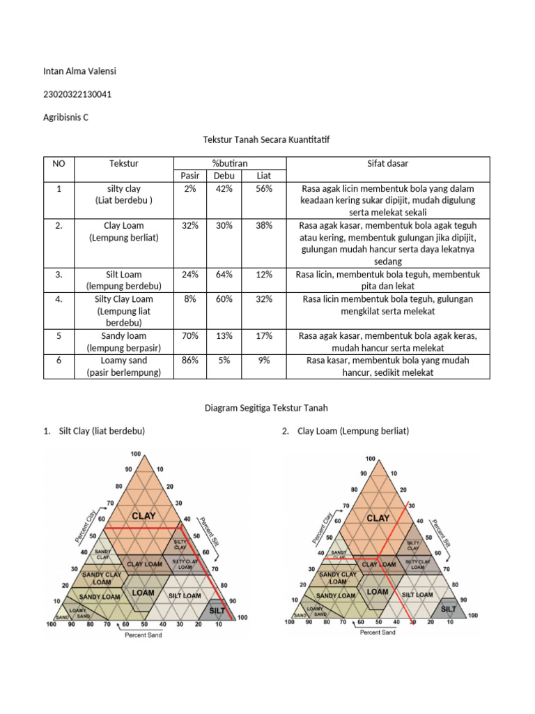 Diagram Segitiga Tanah | PDF
