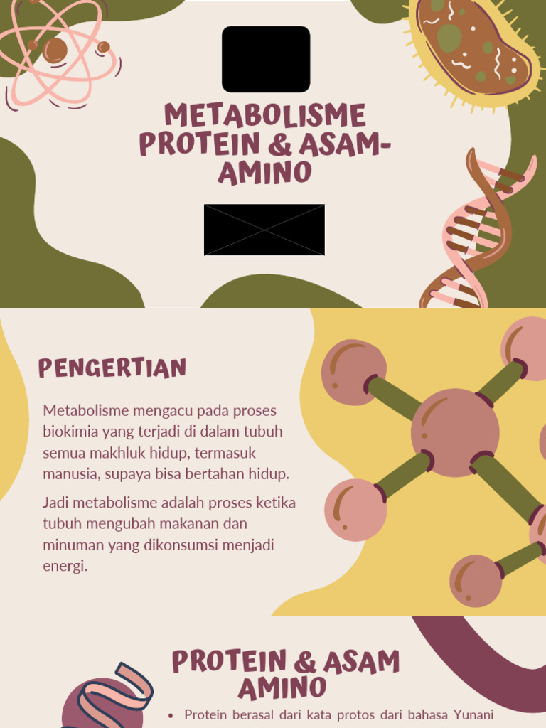 METABOLISME PROTEIN and ASAM AMINO | PDF