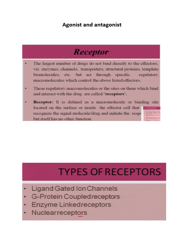 Agonist and Antagonist | PDF