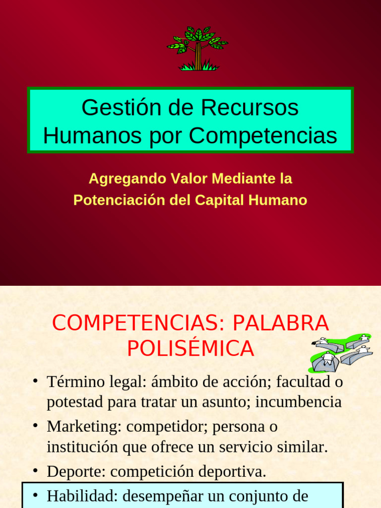Petencias MarcoTerico | PDF | Gestión de recursos humanos | Comportamiento