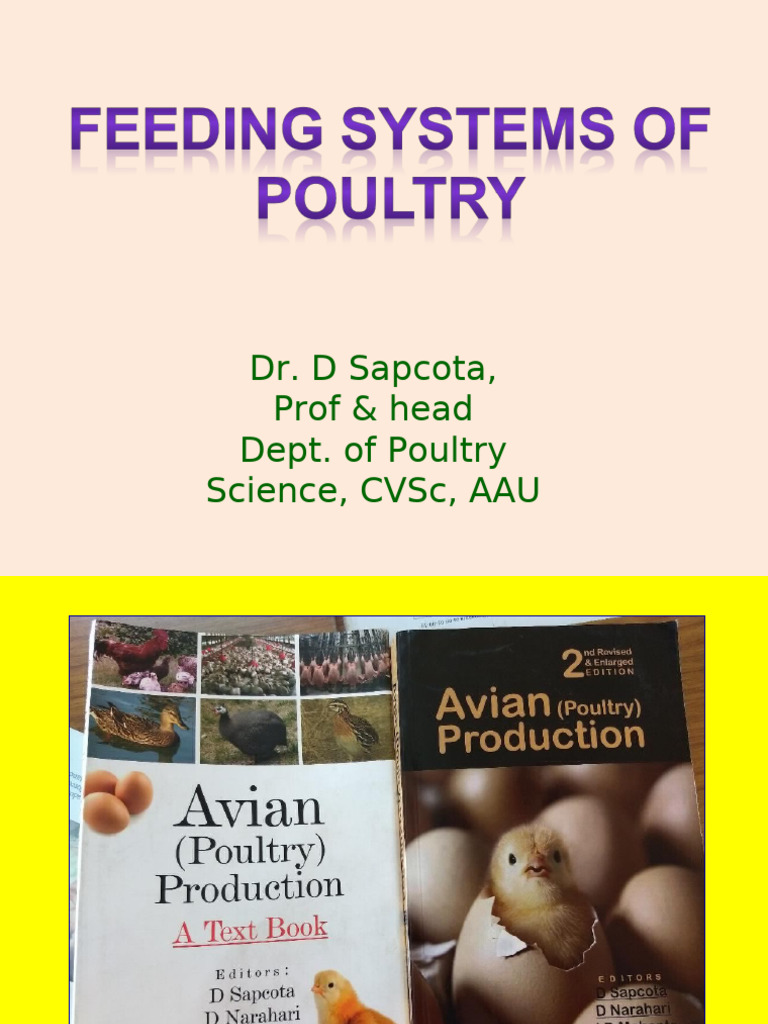 Chicken Digestive System & Nutrition Guide | PDF | Digestion | Natural ...