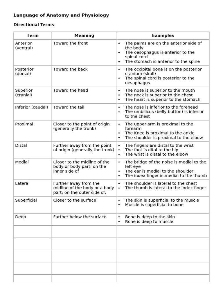 Language of Anatomy and Physiology | PDF | Anatomical Terms Of Location ...