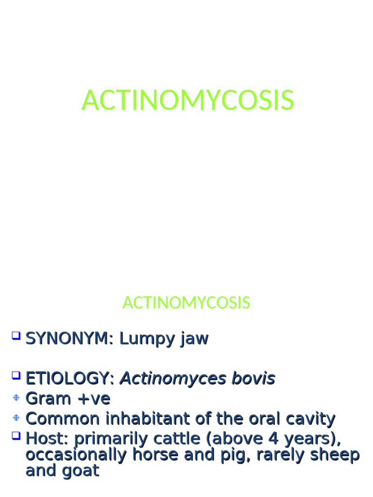 Actinomycosis, Actinobacillosis | PDF | Medical Specialties | Diseases And Disorders