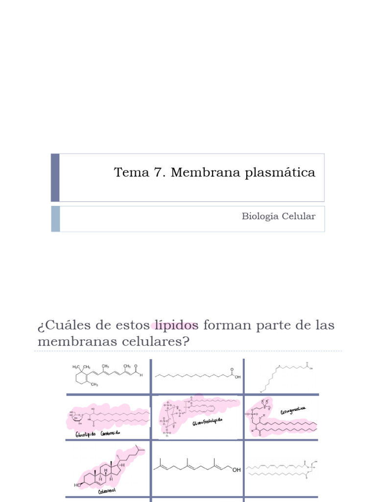 Ejercicios Biocel Pep 3 | PDF | Membrana biológica | Membrana celular