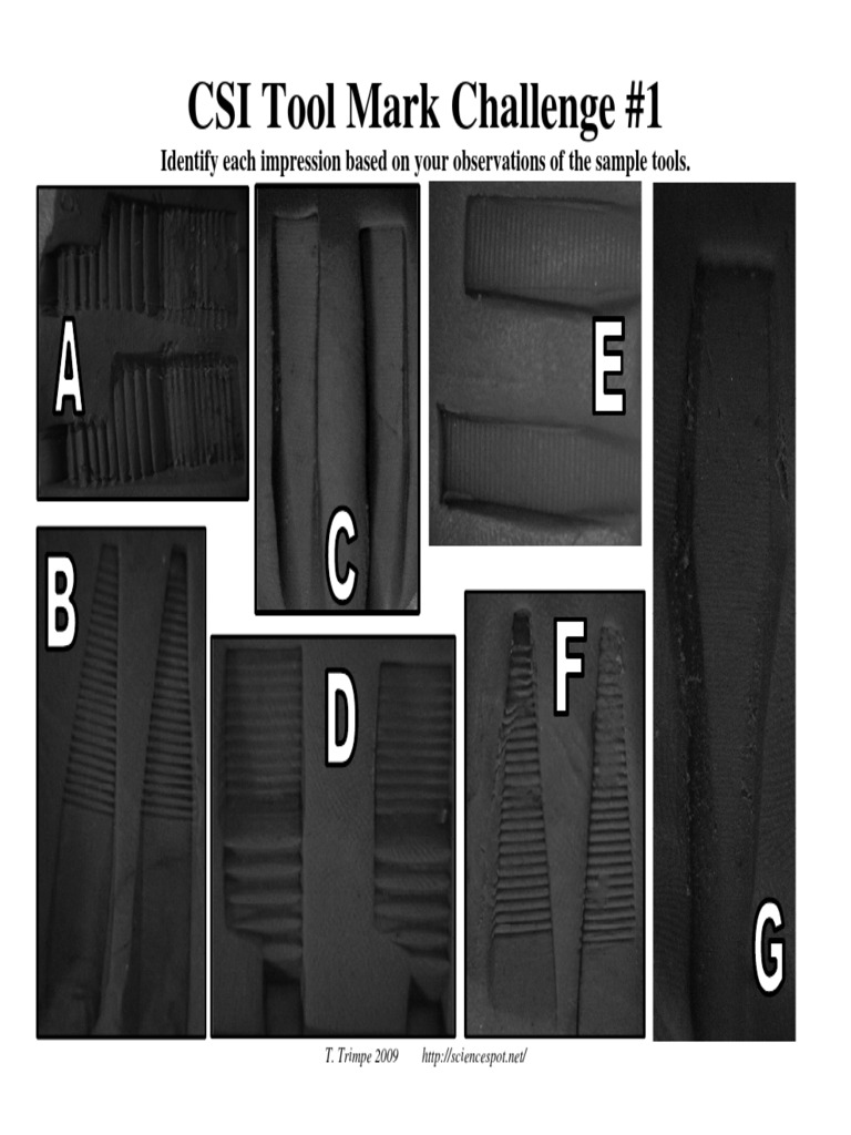 ImpEvi ToolmarkChallenge | PDF