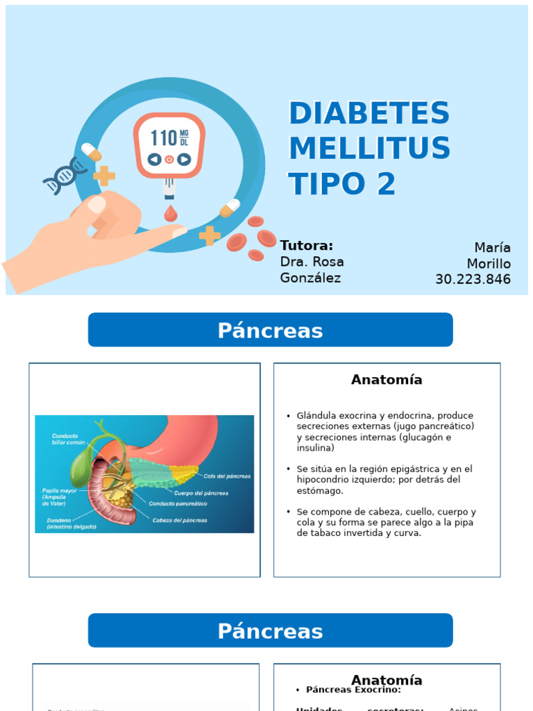 Anatomía y Fisiopatología de Diabetes 2 | PDF | Páncreas | Diabetes