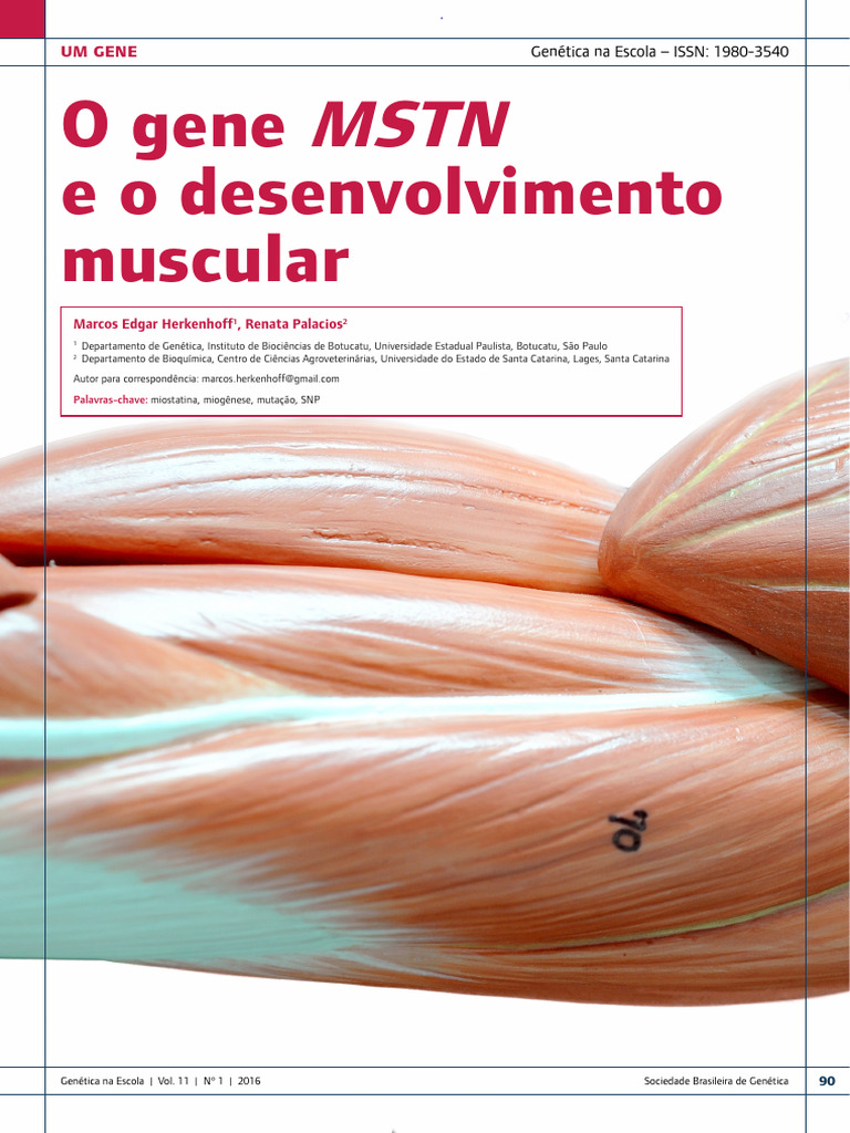 O Gene MSTN | PDF | Músculo | Gene