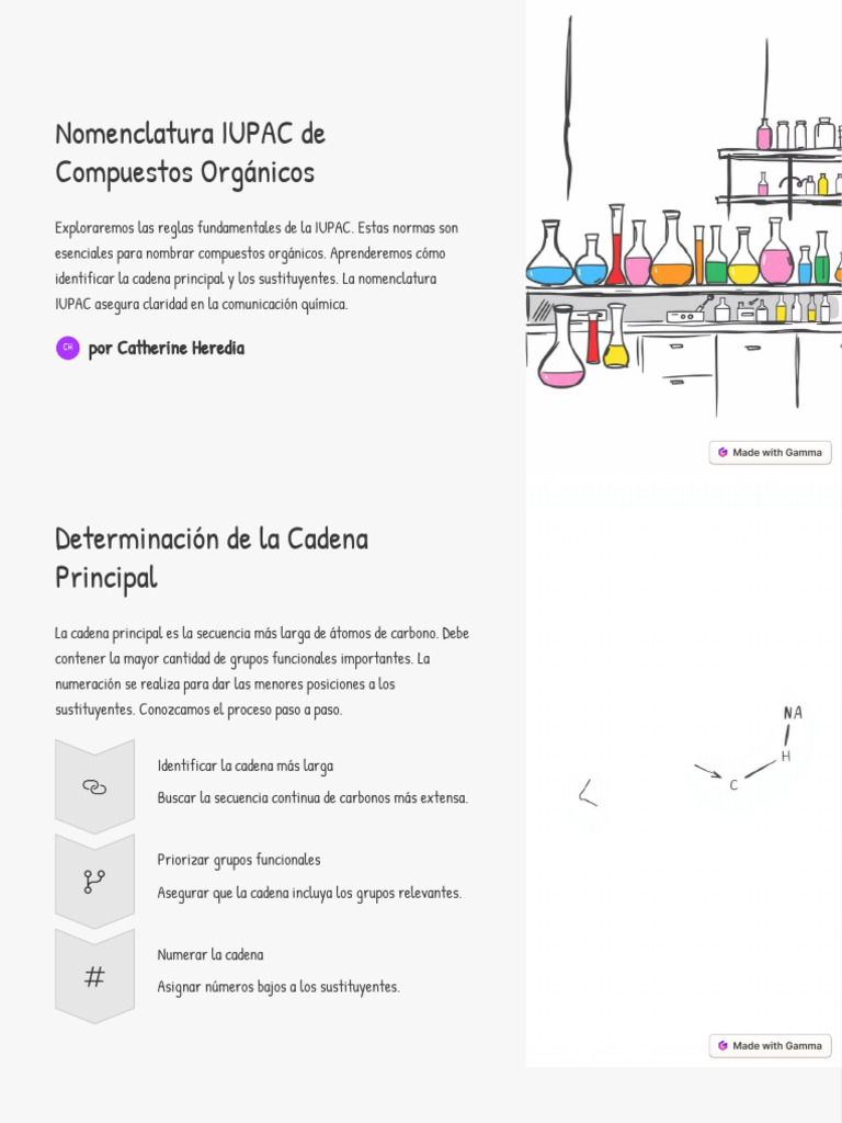Nomenclatura IUPAC de Compuestos Orgánicos | PDF