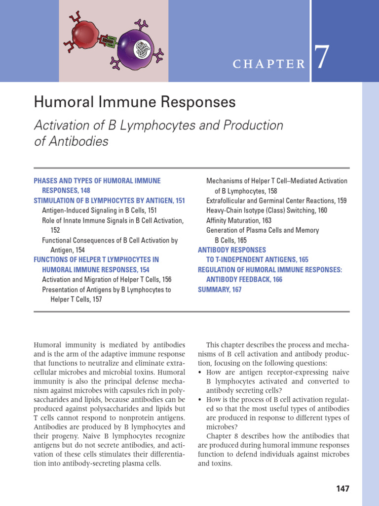 Basic Immunology Functions and Disorders of the Immune System PDFDrive ...
