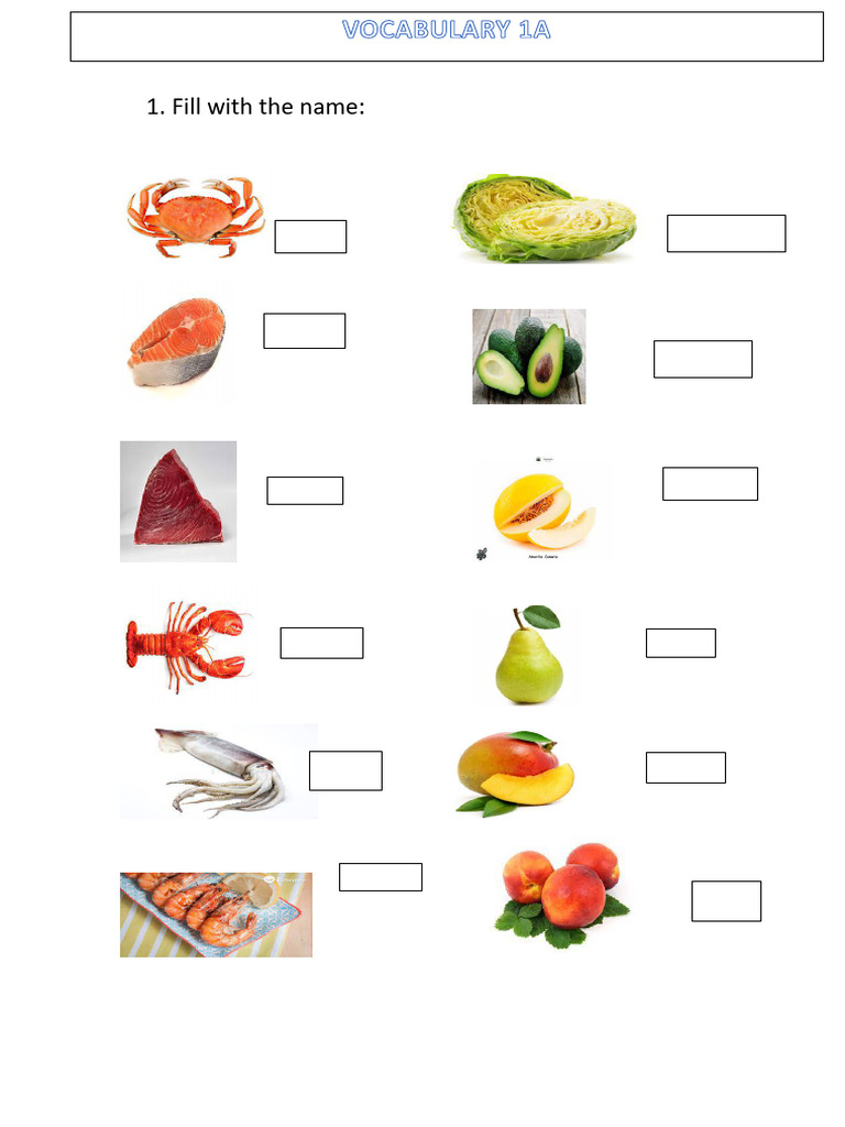 Vocabulary Tema 1a | PDF