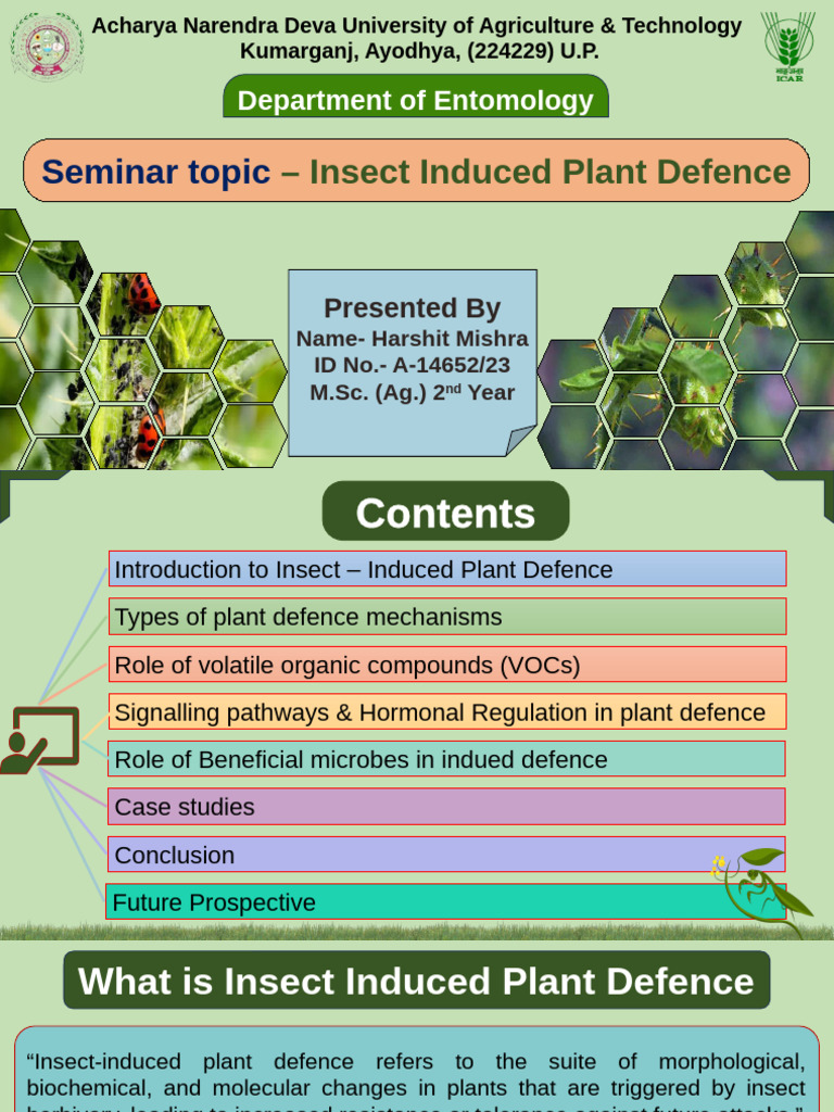 Insect Induced Plant Defence | PDF | Herbivore | Plants