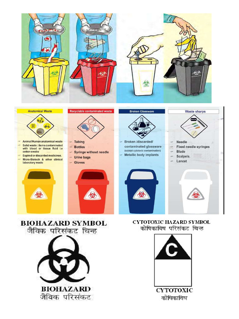 SWM Practical No 11 Pictures | PDF