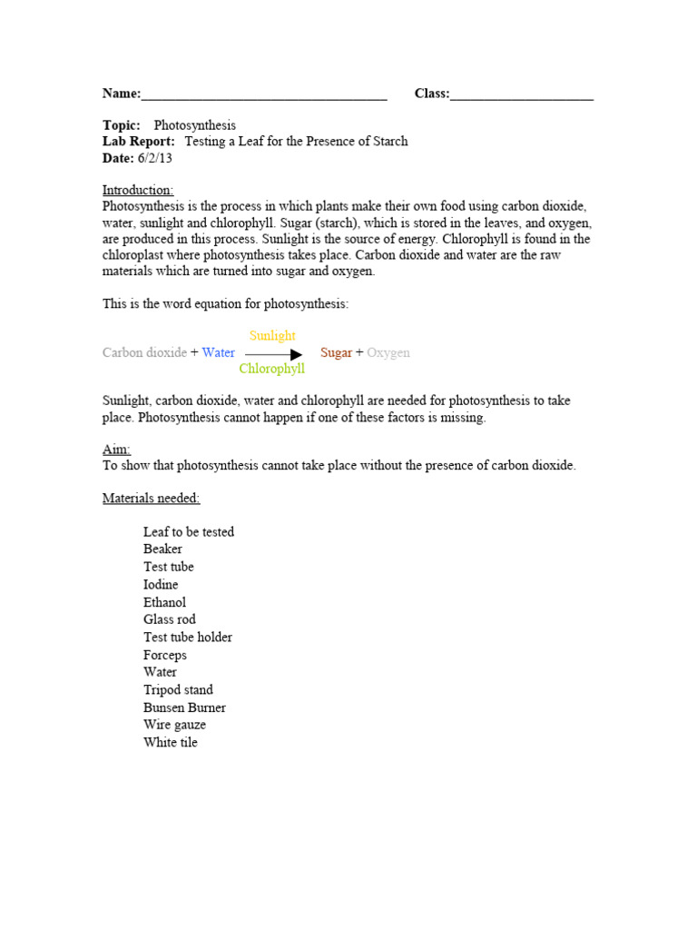 Lab Report Starch | PDF | Photosynthesis | Leaf