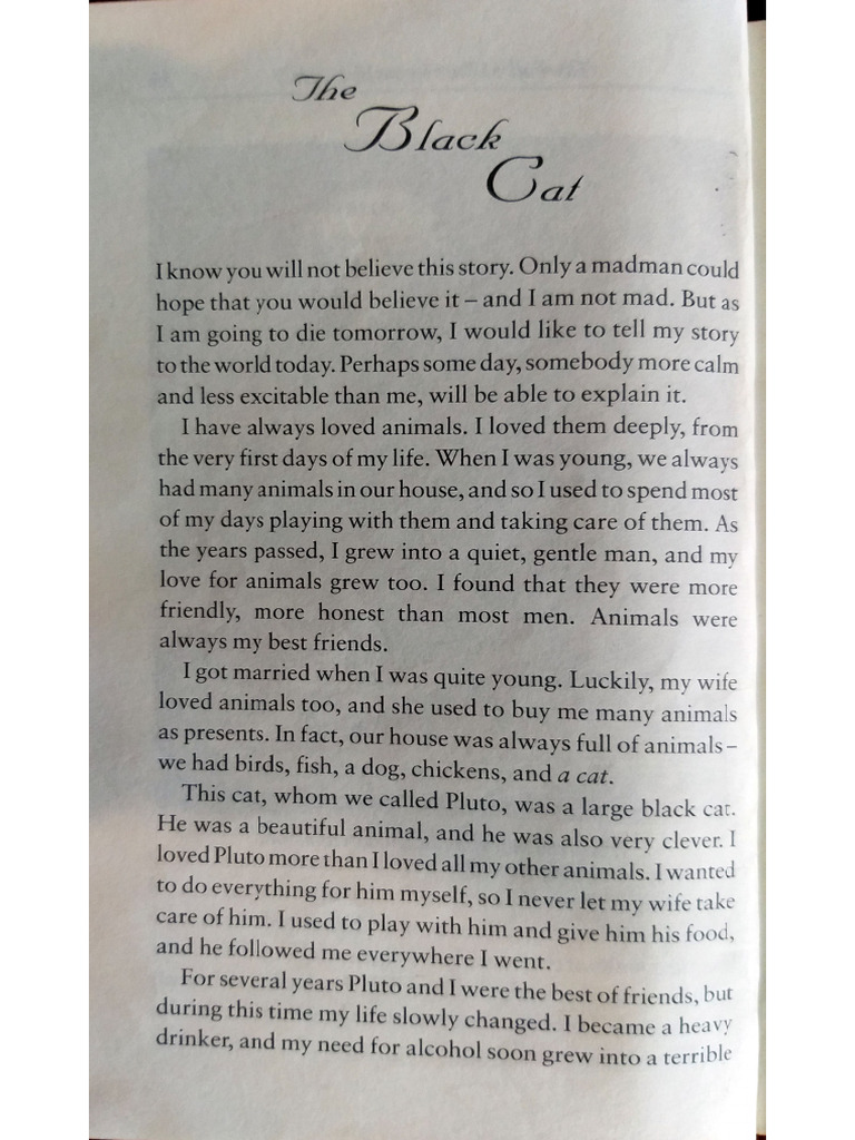 The Black Cat | PDF