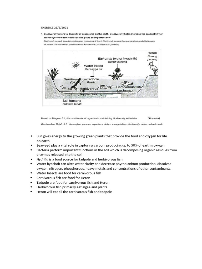 Ecosystem Interactions in Aquatic Life | PDF