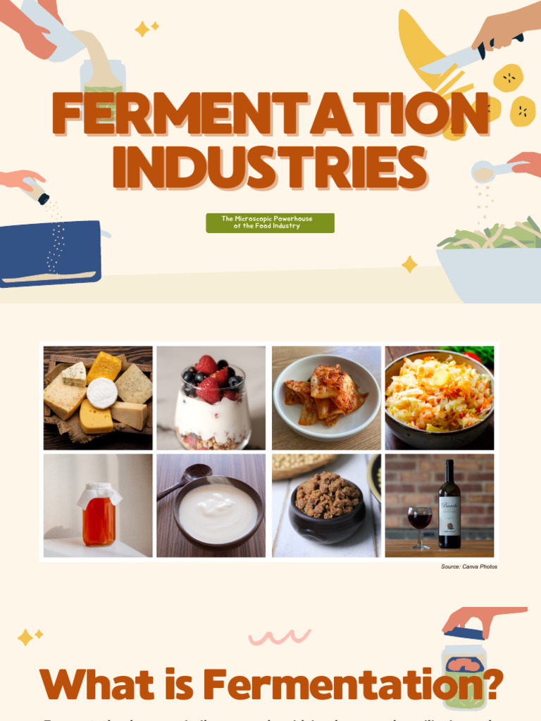 05 Fermentation-Industry Casio | PDF | Fermentation | Microorganism