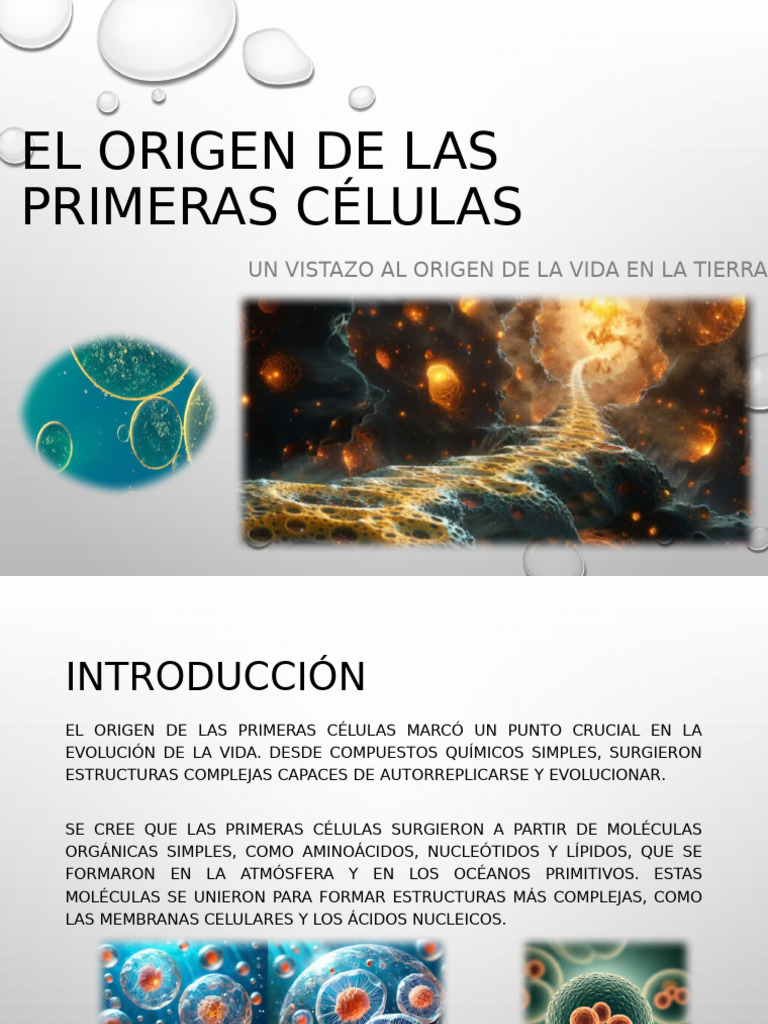 Origen Primeras Celulas | PDF | Biología Celular) | Vida
