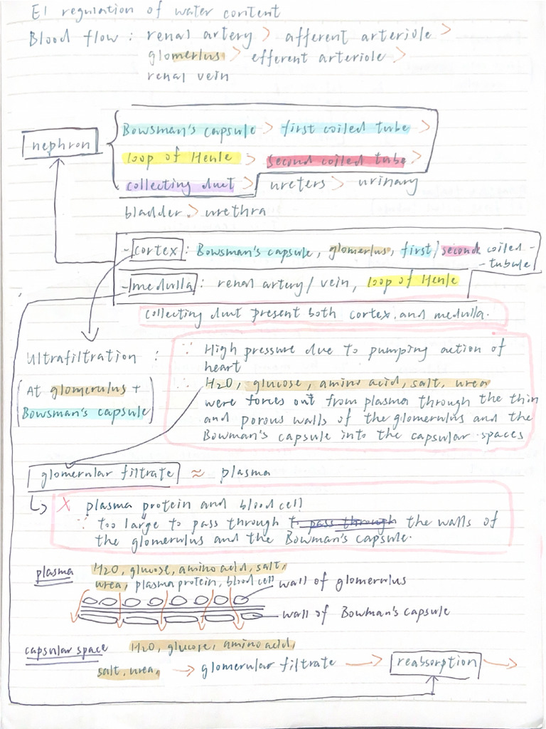 E1.1 Notes | PDF