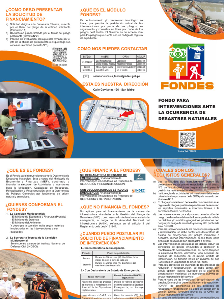 Triptico FONDES (final) | PDF